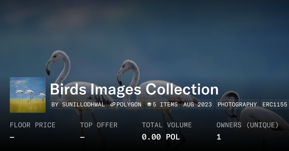 opengraph-image?ts=29189460