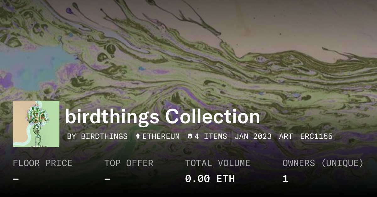 birdthings Collection - Collection | OpenSea