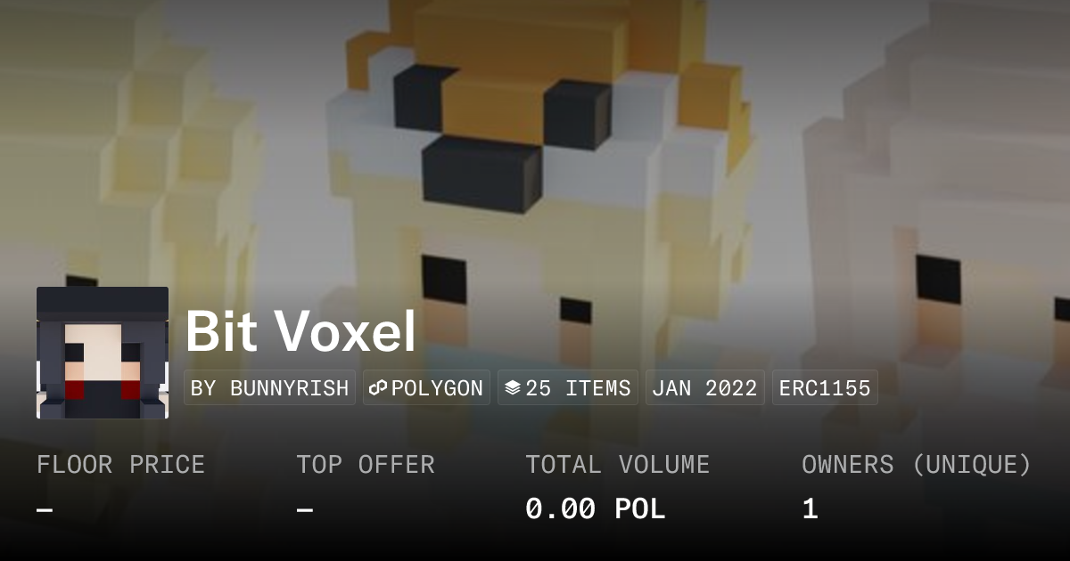 Bit Voxel - Collection | OpenSea