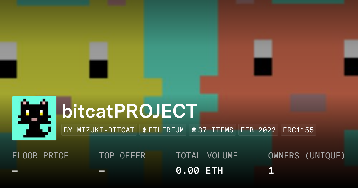 bitcatPROJECT - Collection | OpenSea