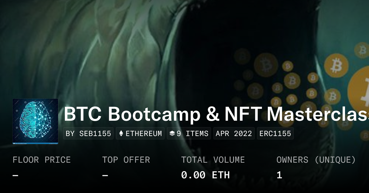 BTC Bootcamp & NFT Masterclasses - Collection | OpenSea