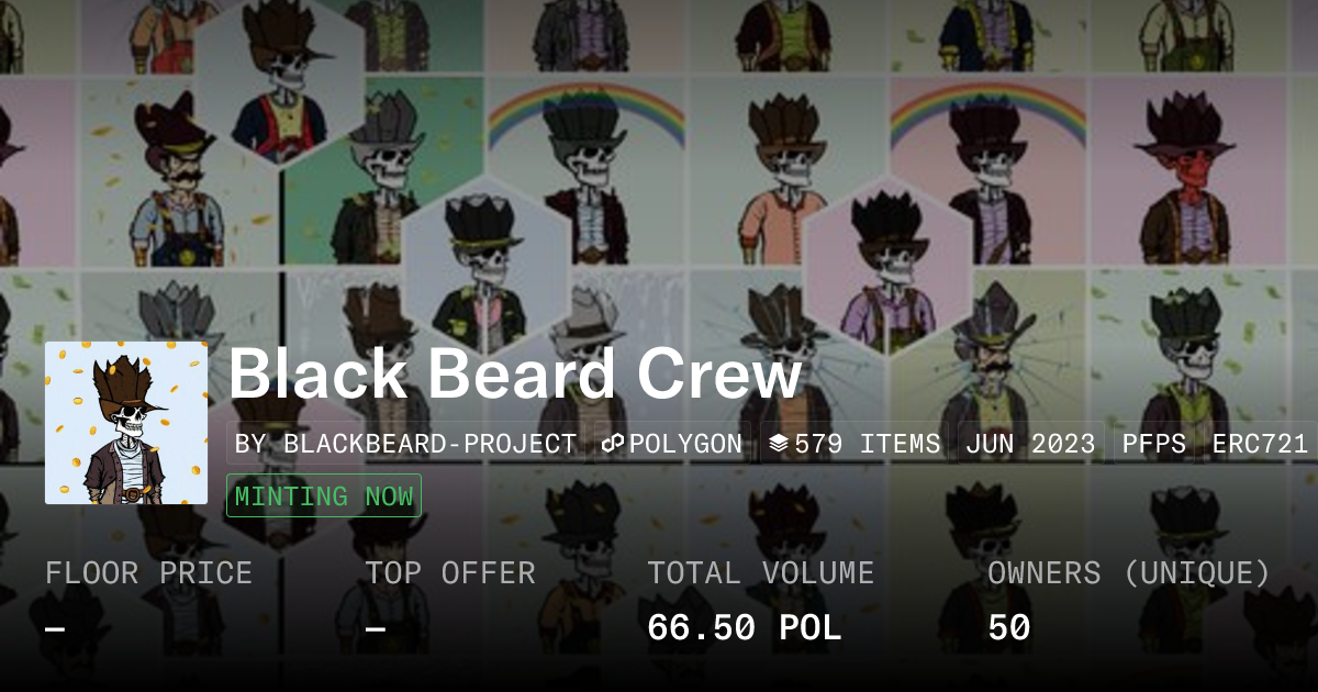 Black Beard Crew - Collection | OpenSea
