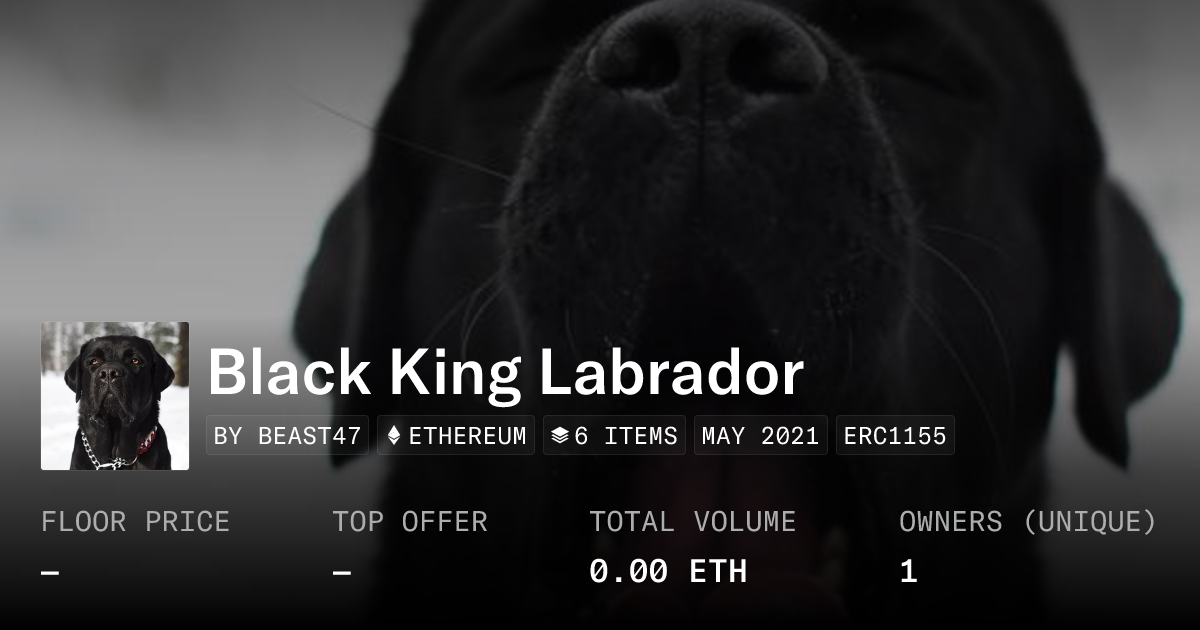 opengraph-image?ts=29169860