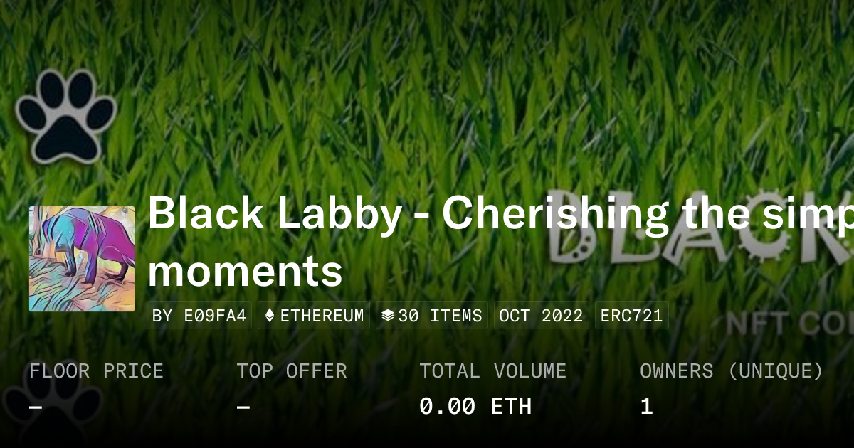 opengraph-image?ts=29198235