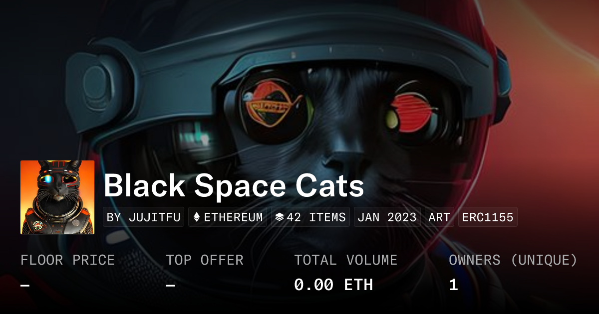 Black Space Cats - Collection | OpenSea