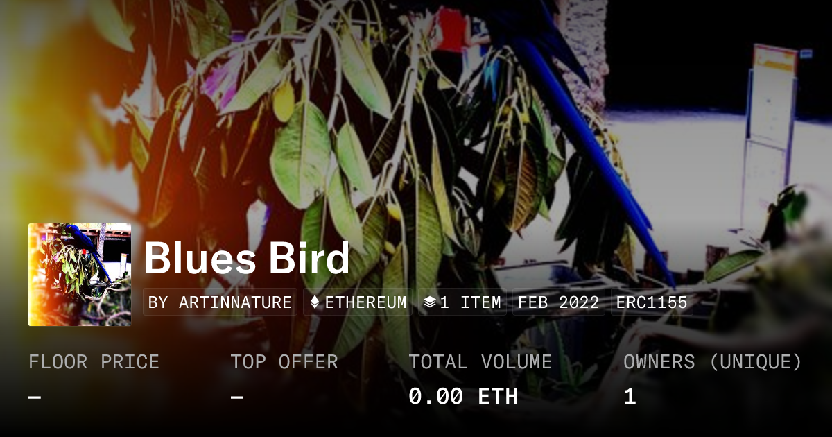 opengraph-image?ts=29192654