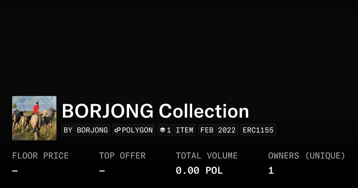 BORJONG Collection - Collection | OpenSea