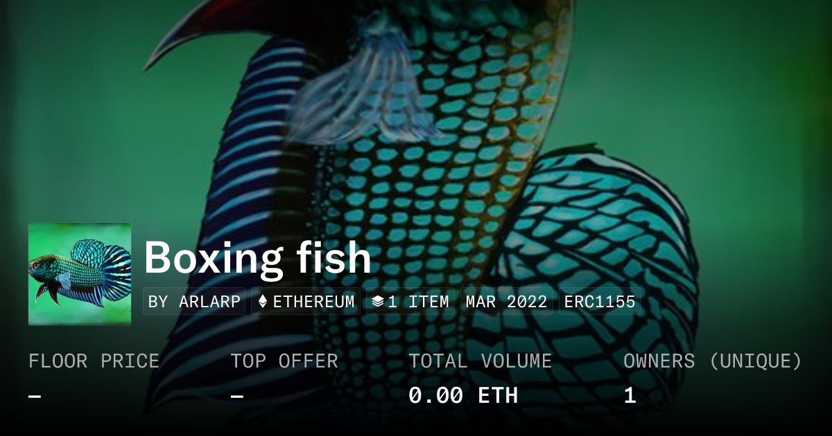 opengraph-image?ts=29212499