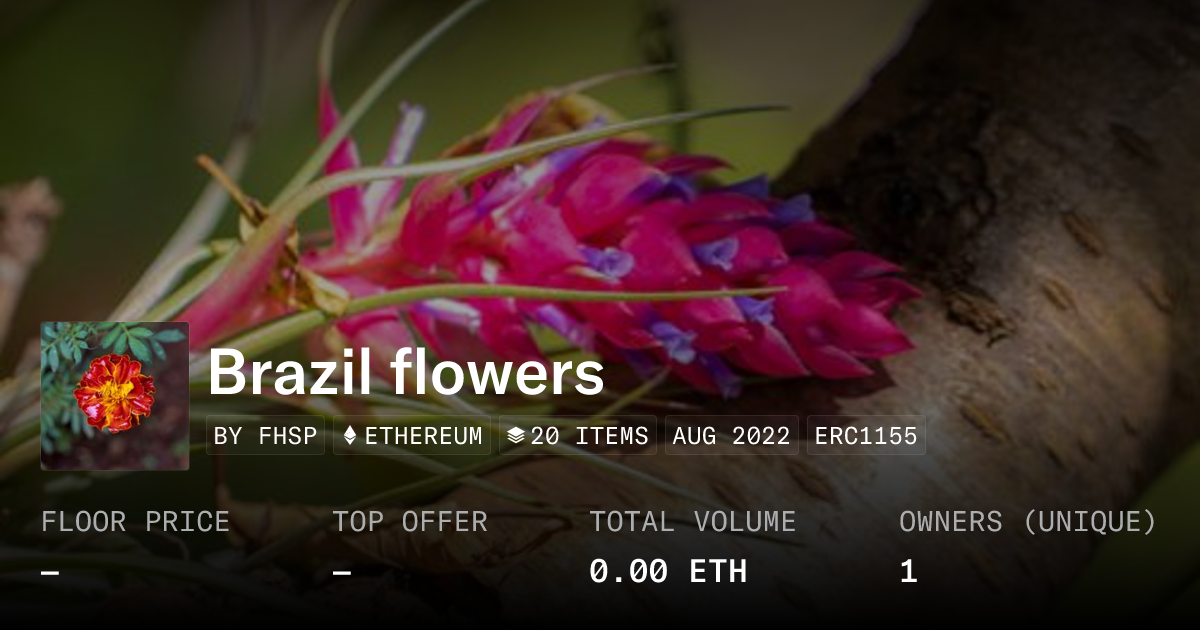 opengraph-image?ts=29201171