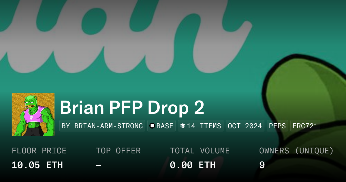Brian PFP Drop 2 - Collection | OpenSea