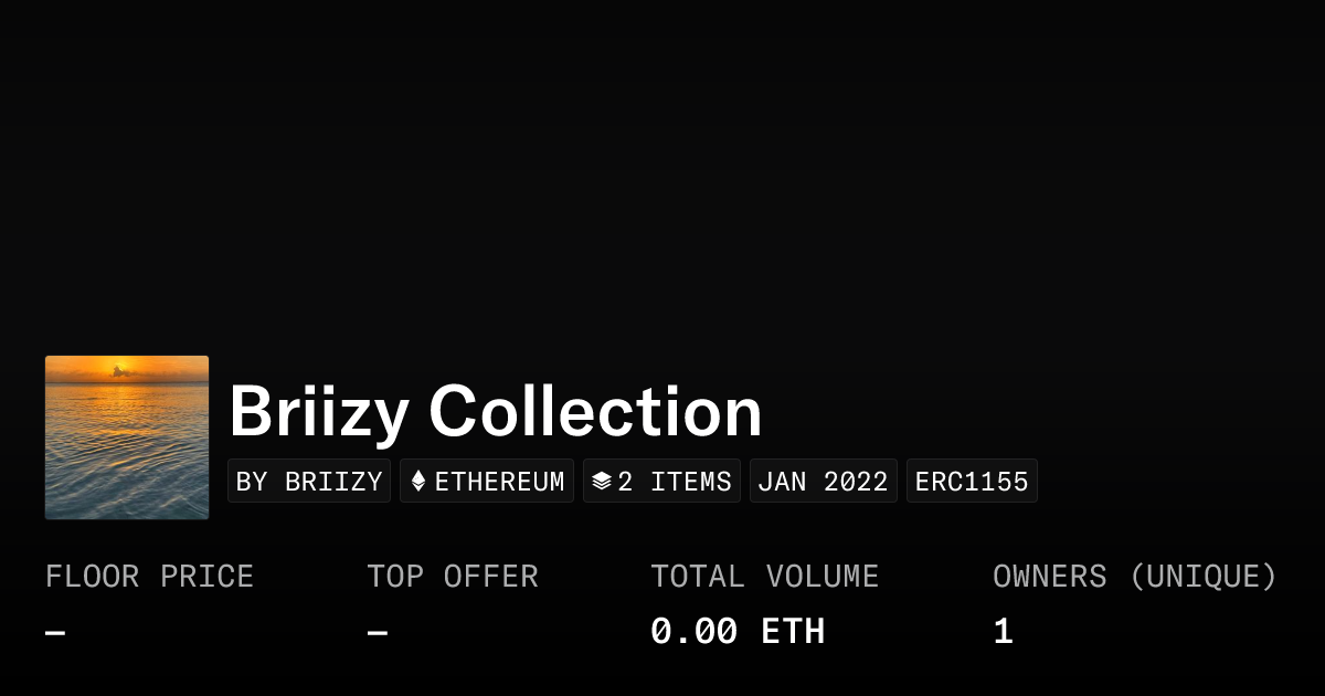 Briizy Collection - Collection | OpenSea