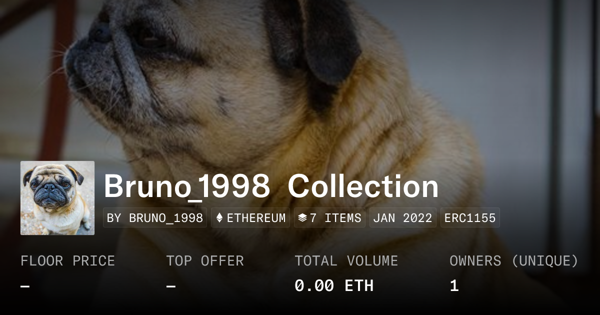 Bruno_1998 Collection - Collection | OpenSea