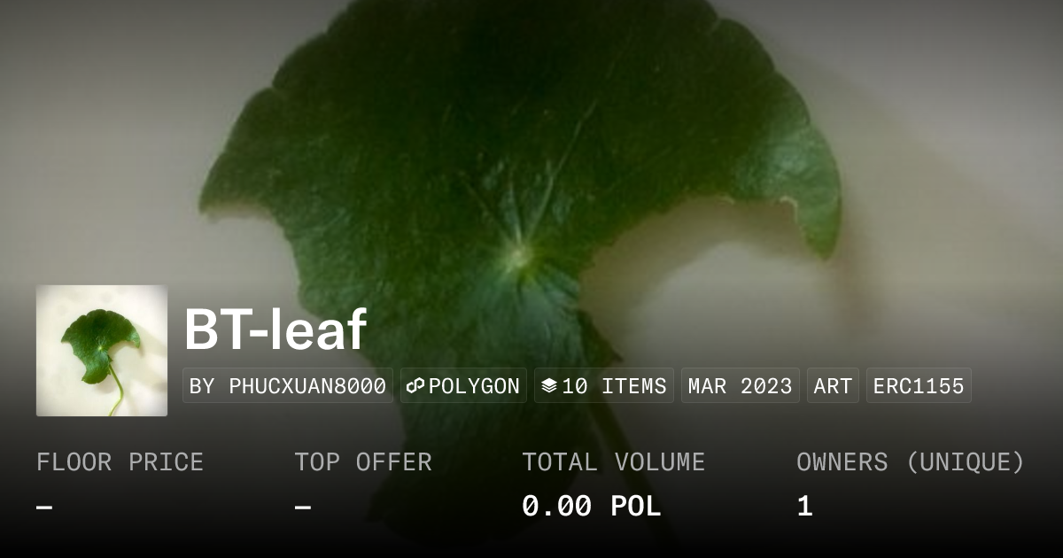 opengraph-image?ts=29187613