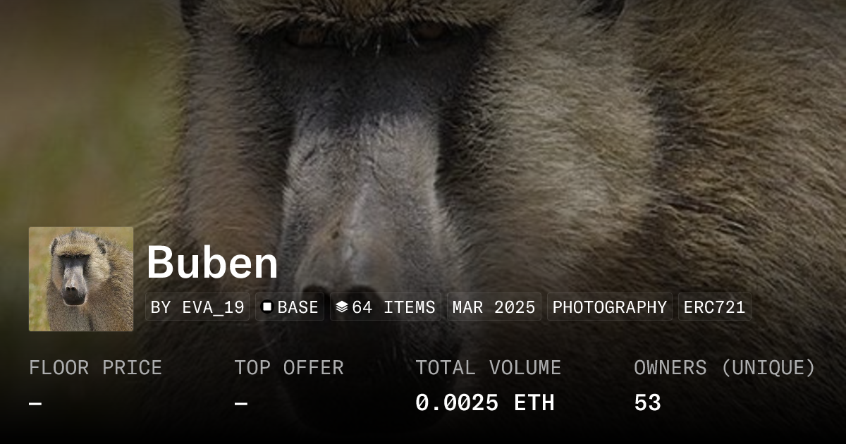 opengraph-image?ts=29204089