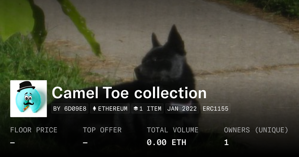 opengraph-image?ts=29191855