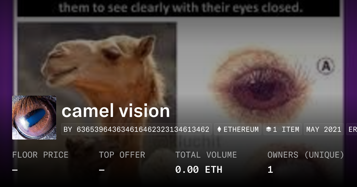 camel vision - Collection | OpenSea
