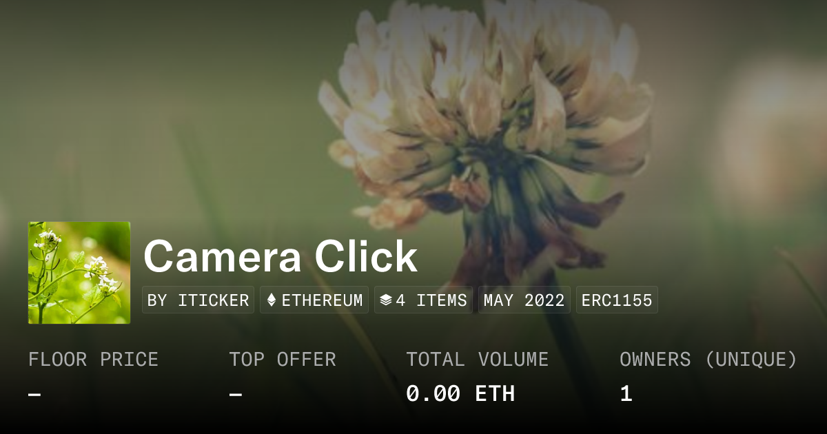 opengraph-image?ts=29208443