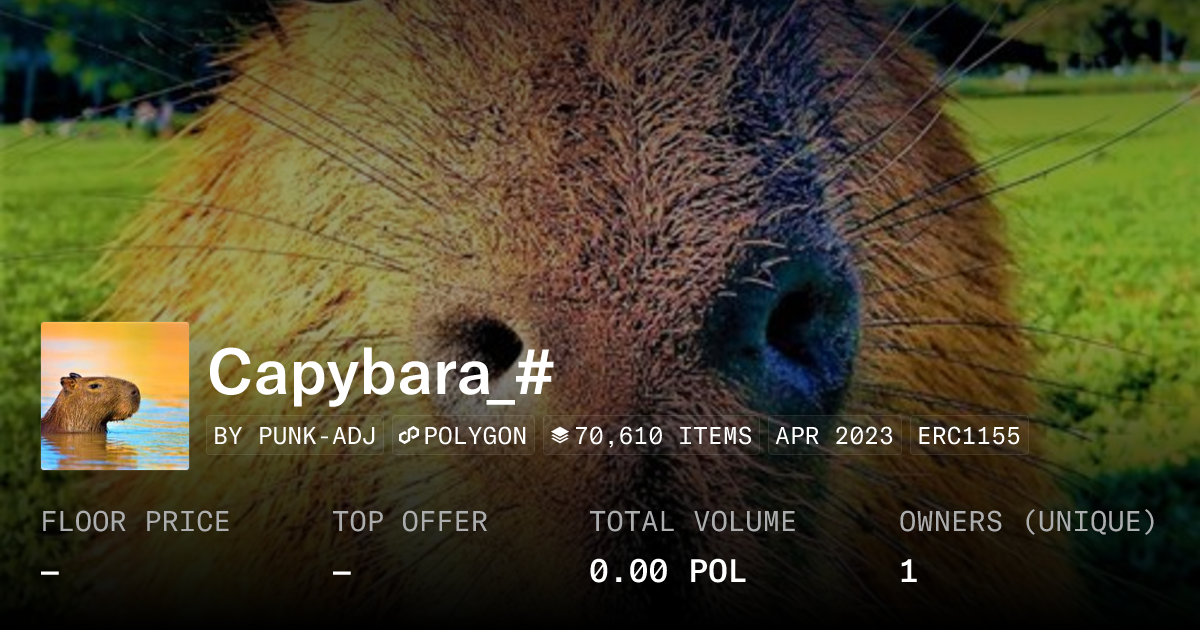 Capybara_# - Collection | OpenSea