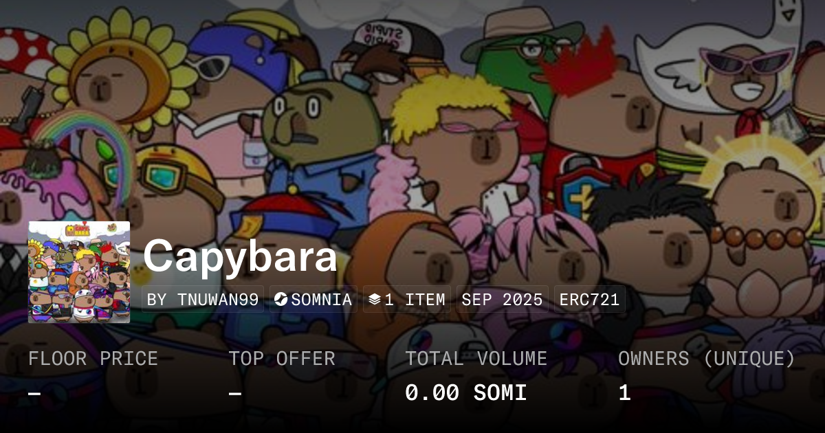 Capybara - Collection | OpenSea