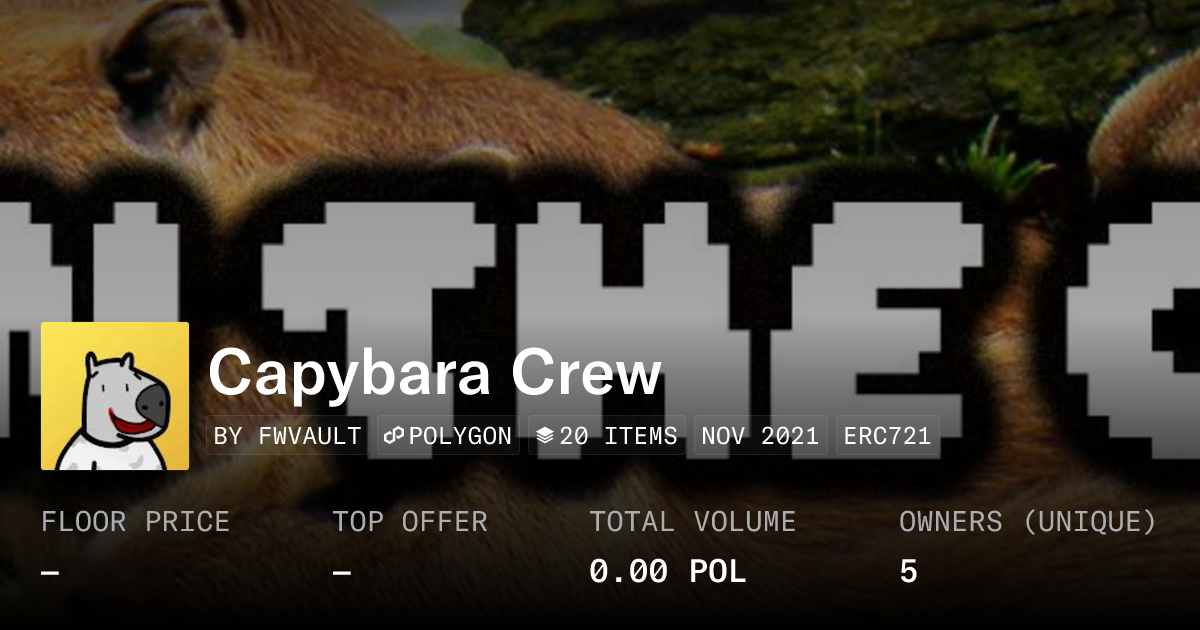 Capybara Crew - Collection | OpenSea