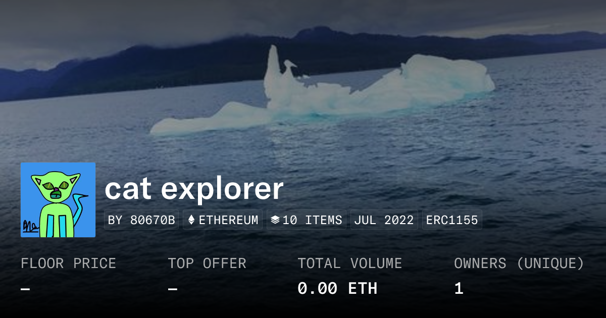 cat explorer - Collection | OpenSea