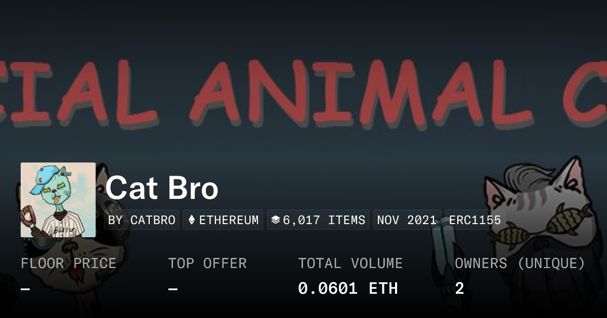 Cat Bro - Collection | OpenSea