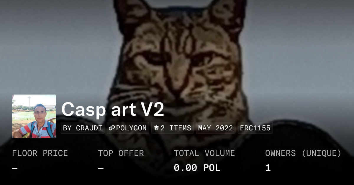 Casp art V2 - Collection | OpenSea