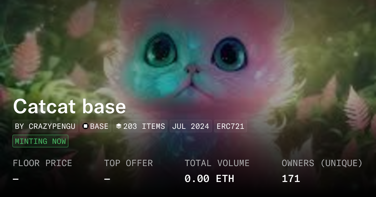 Catcat base - Collection | OpenSea