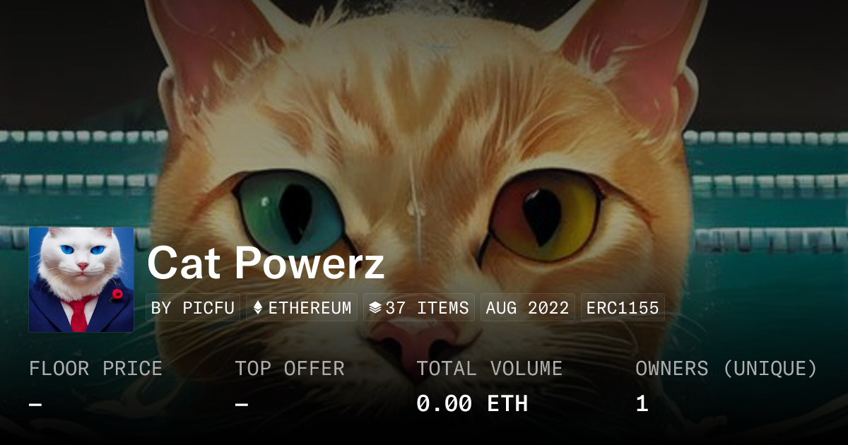 Cat Powerz - Collection | OpenSea