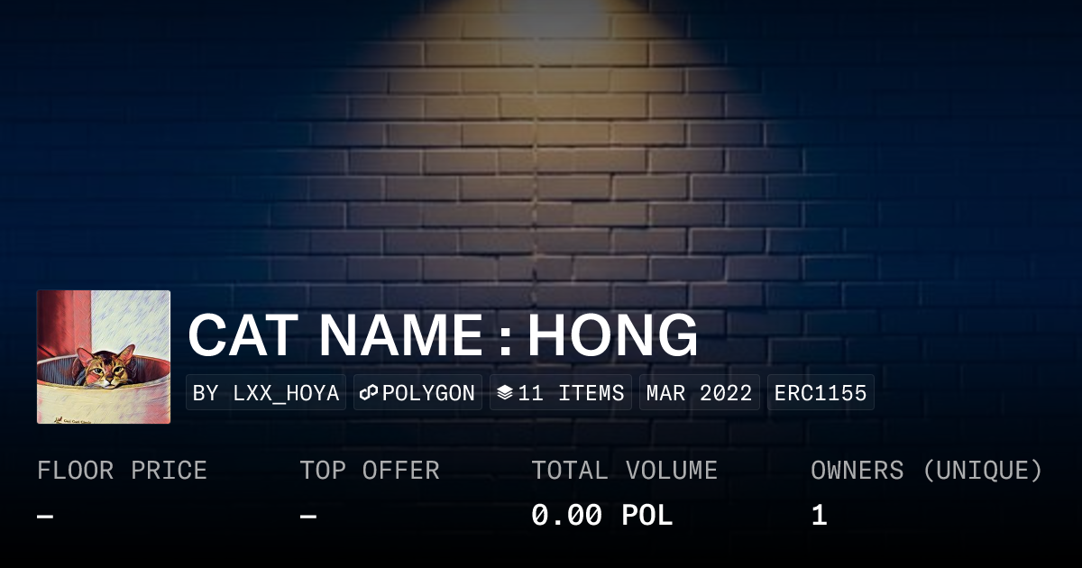 CAT NAME : HONG - Collection | OpenSea