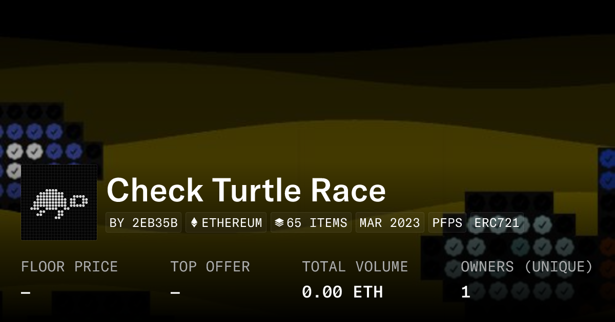 Check Turtle Race - Collection | OpenSea