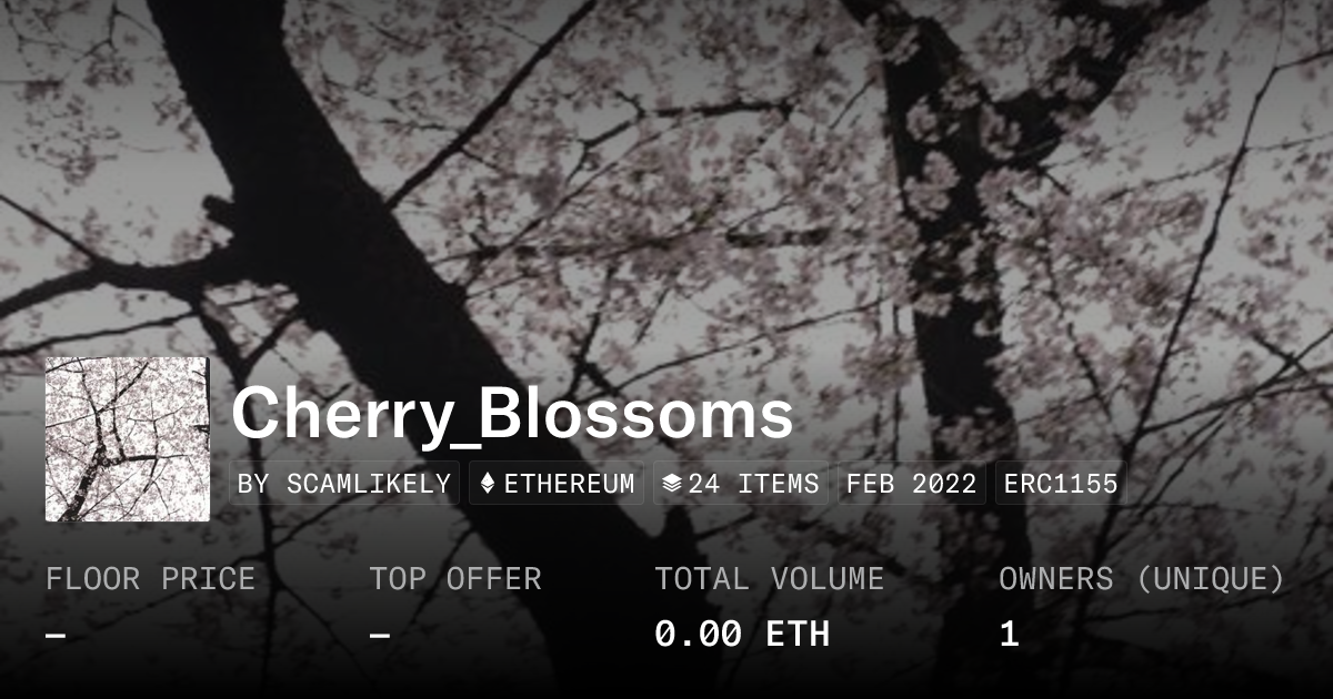 Cherry_Blossoms - Collection | OpenSea