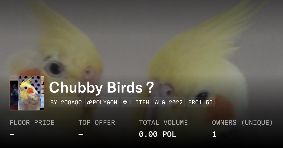 Chubby Birds ? - Collection | OpenSea
