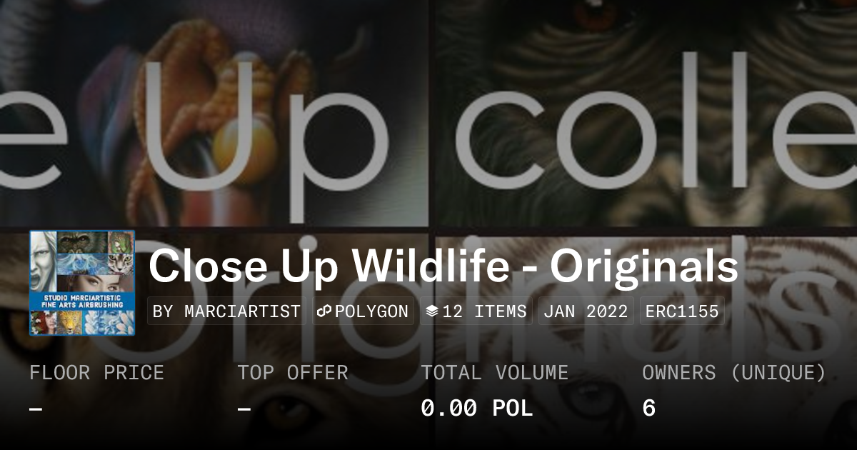 opengraph-image?ts=29194731