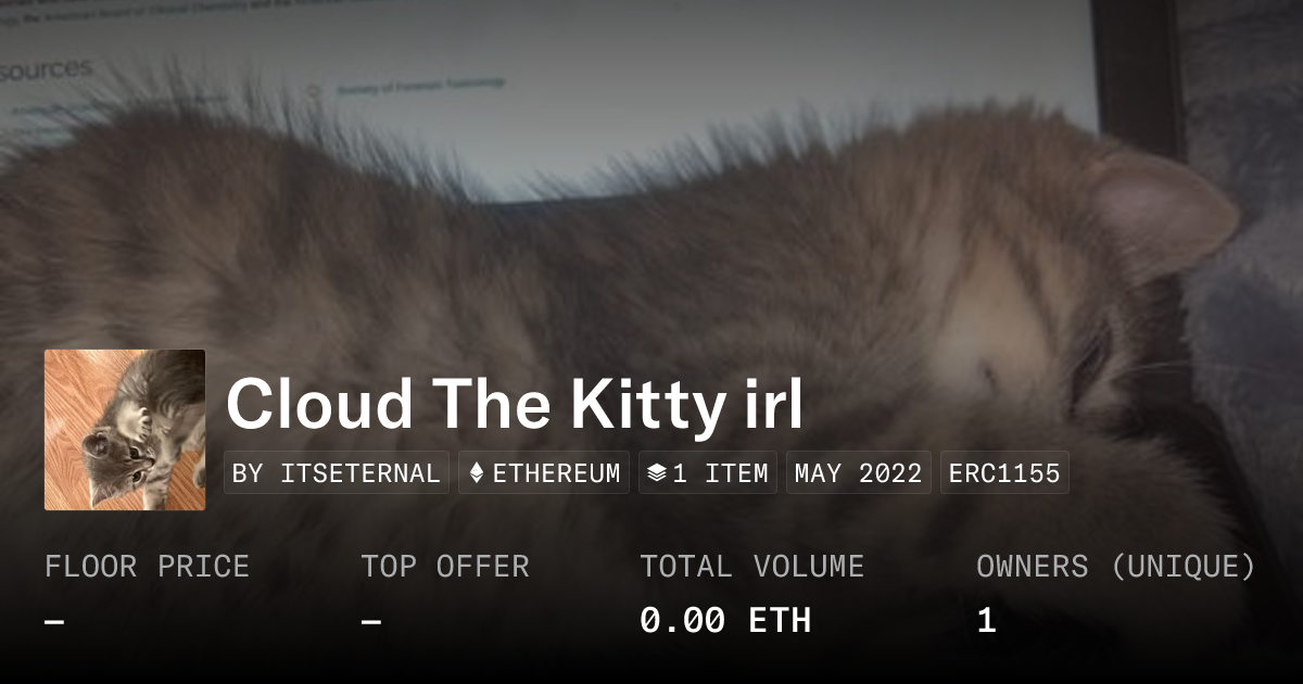 Cloud The Kitty irl - Collection | OpenSea