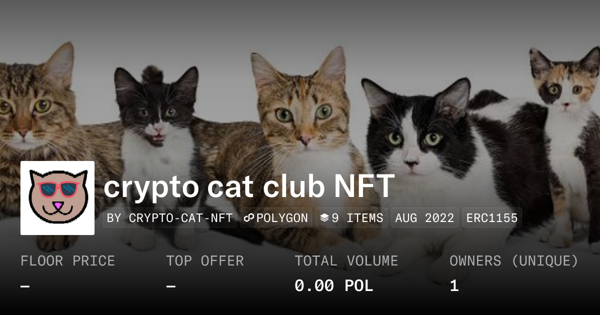crypto cat club NFT - Collection | OpenSea