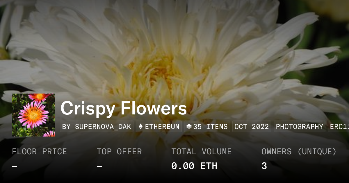 Crispy Flowers - Collection | OpenSea