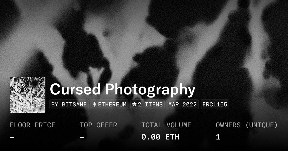 opengraph-image?ts=29202061