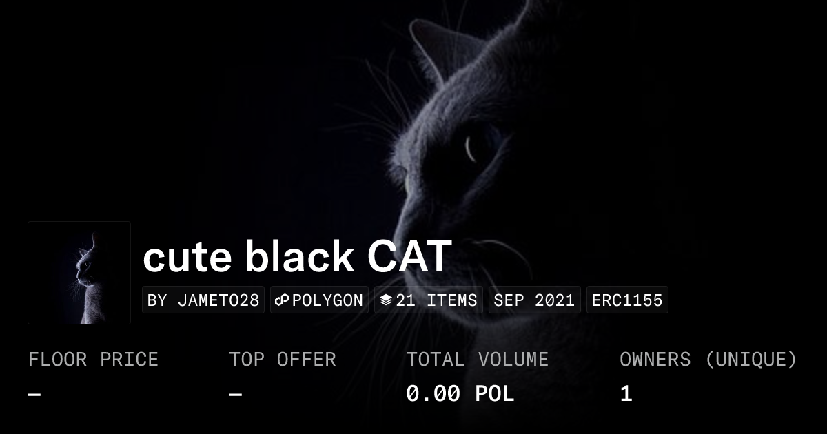 cute black CAT - Collection | OpenSea