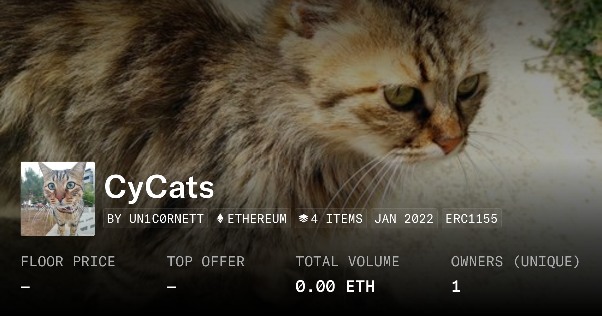 CyCats - Collection | OpenSea