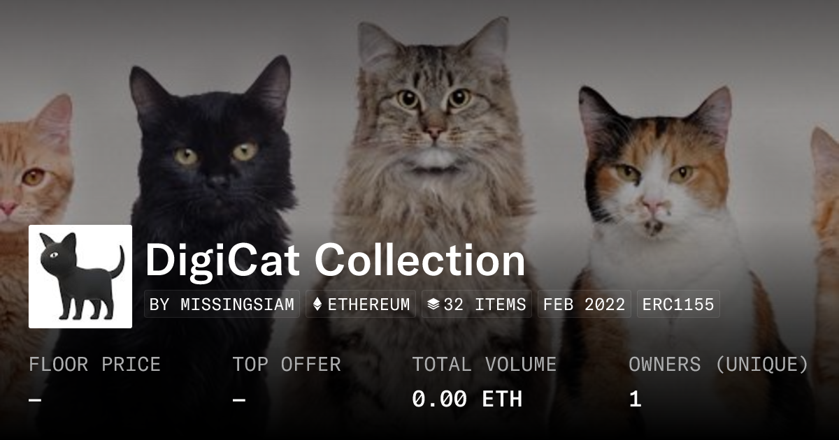 DigiCat Collection - Collection | OpenSea