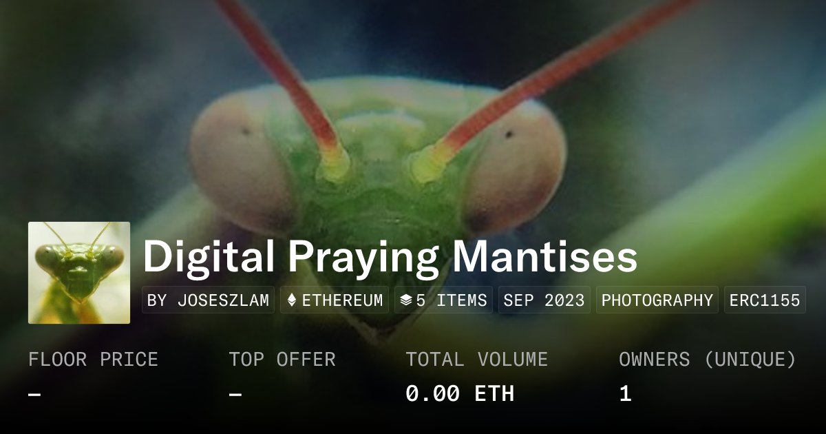 Digital Praying Mantises - Collection | OpenSea
