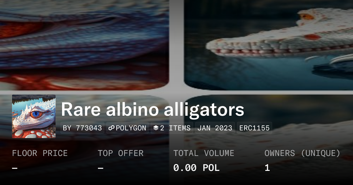 Rare albino alligators - Collection | OpenSea