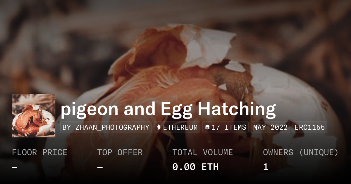 opengraph-image?ts=29183429