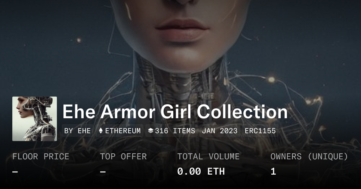Ehe Armor Girl Collection - Collection | OpenSea