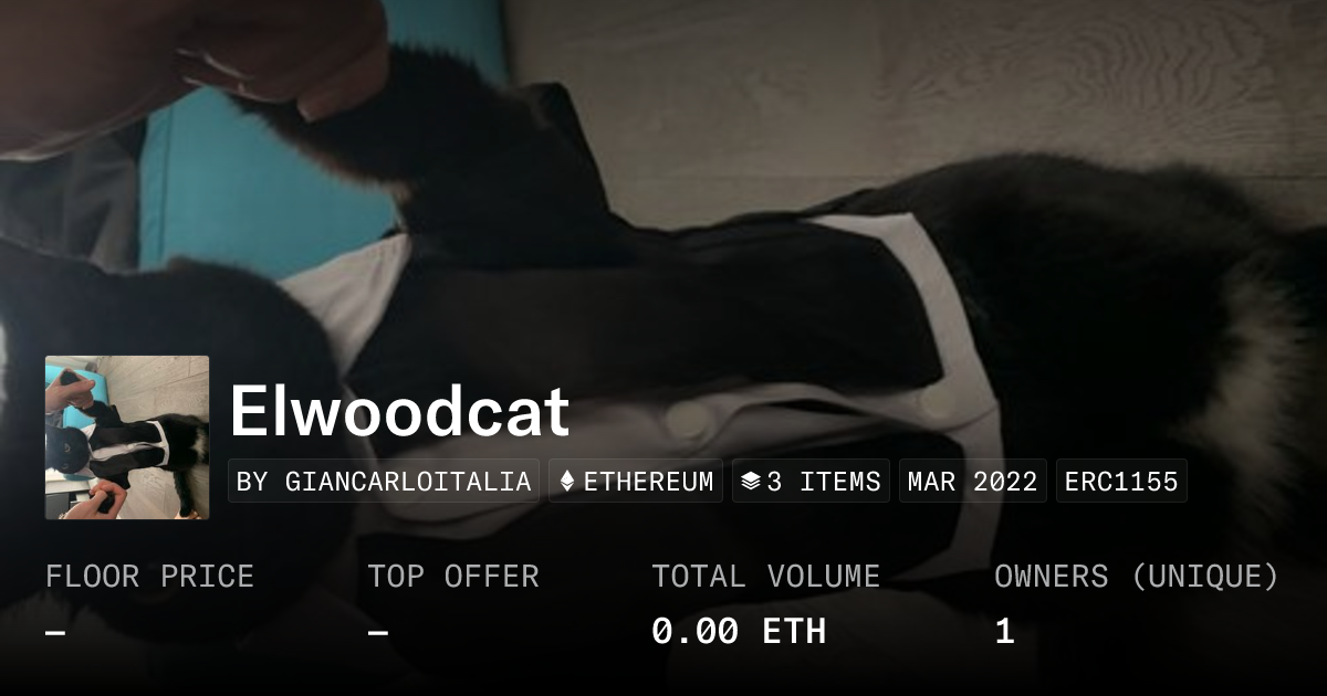 opengraph-image?ts=29209748