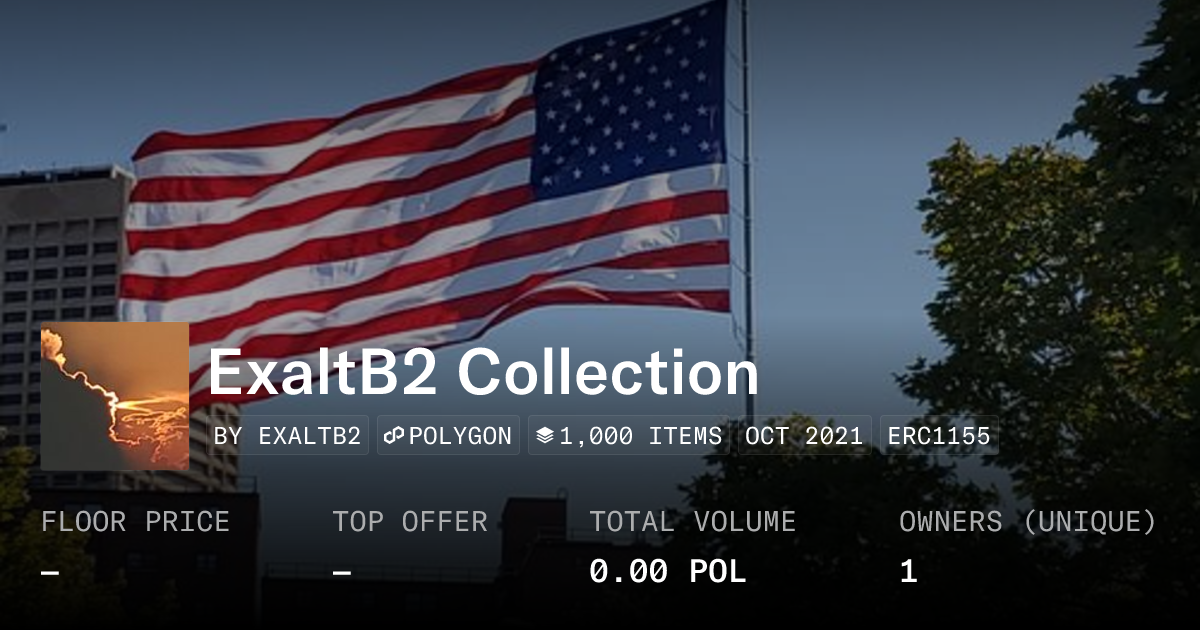 ExaltB2 Collection - Collection | OpenSea