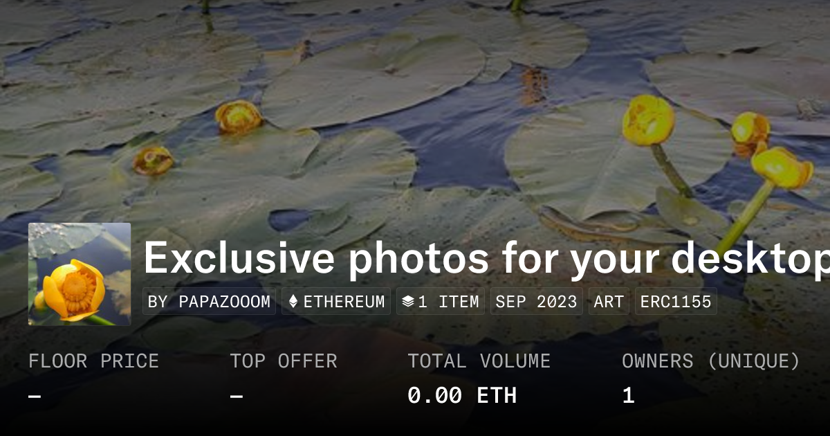 Exclusive photos for your desktop - Collection | OpenSea