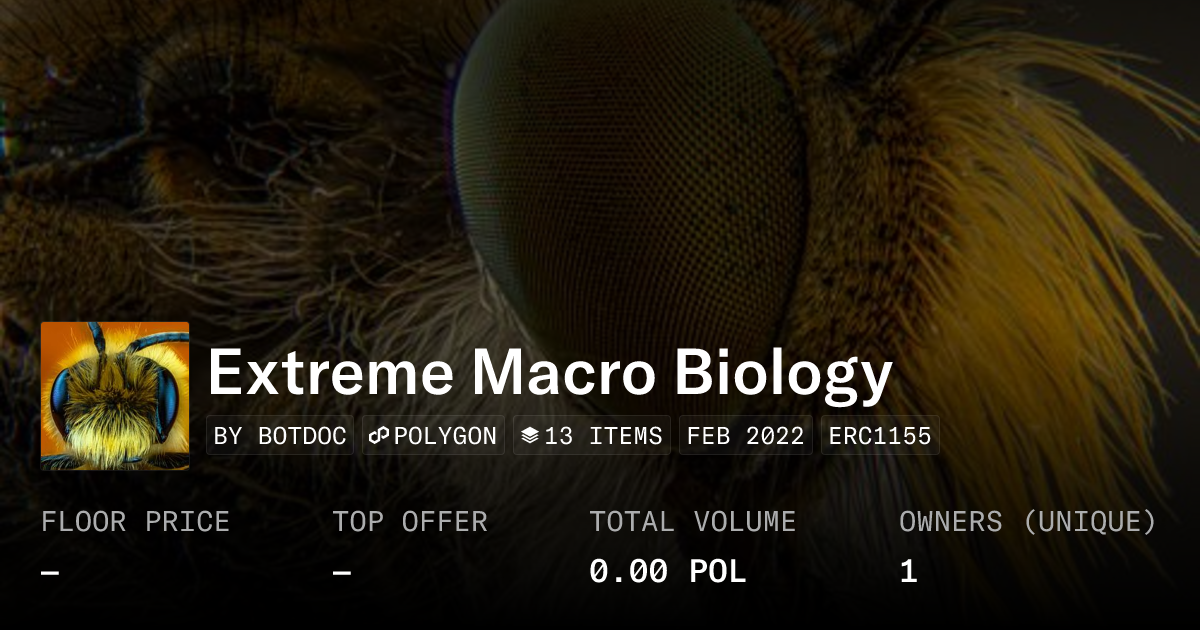 opengraph-image?ts=29200986