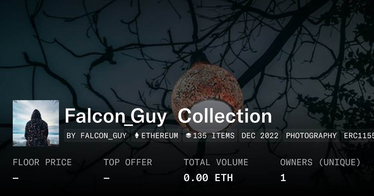 Falcon_Guy Collection - Collection | OpenSea
